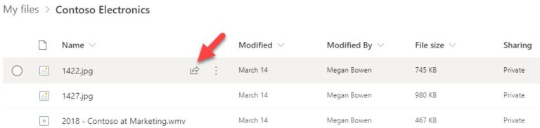 OneDrive file sharing guide