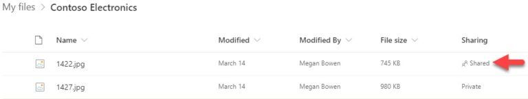 OneDrive file sharing guide